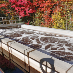 Suspended media biological reactor (MBBR) :BiogasWorld