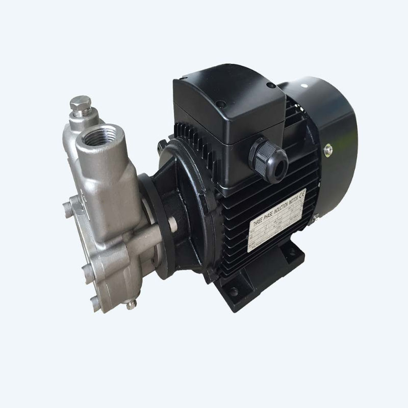 Micro nano bubble generator pump :BiogasWorld